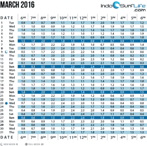 Bali surf tours or folowing a tide chart - WaveHouse